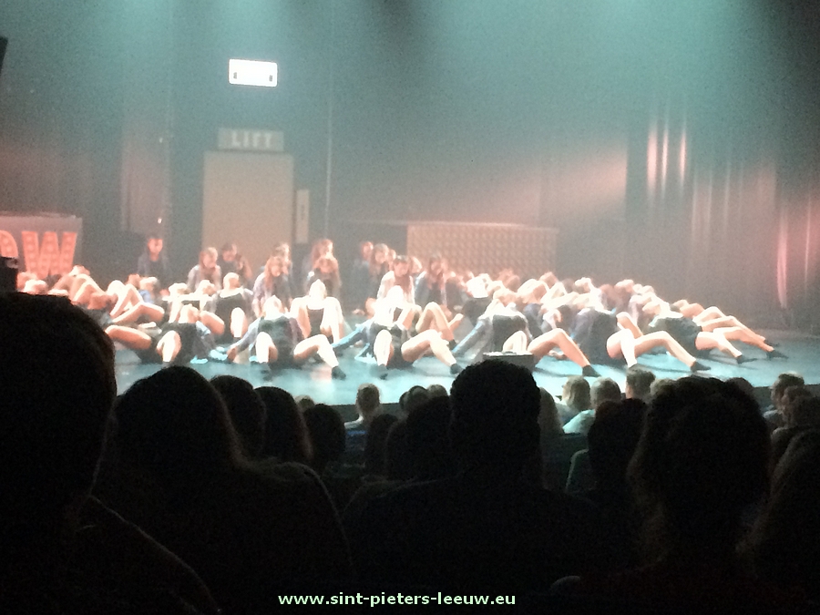 Dance O’Mania schitterde met dansshow Hotel Dance O’Mania – Sint ...