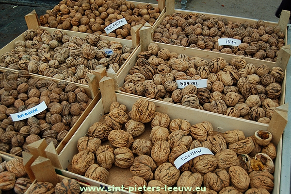 Voorstelling 40 soorten walnoten uit de regio Pajottenland Zennevallei ...