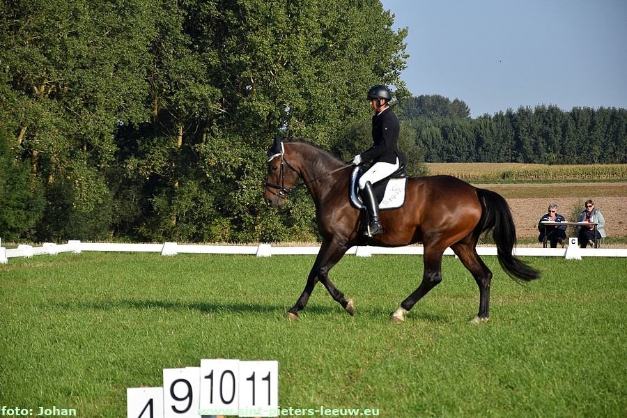 2020-09-19- Provinciaal kampioenschap dressuur LRV Vlaams-Brabant (4 ...