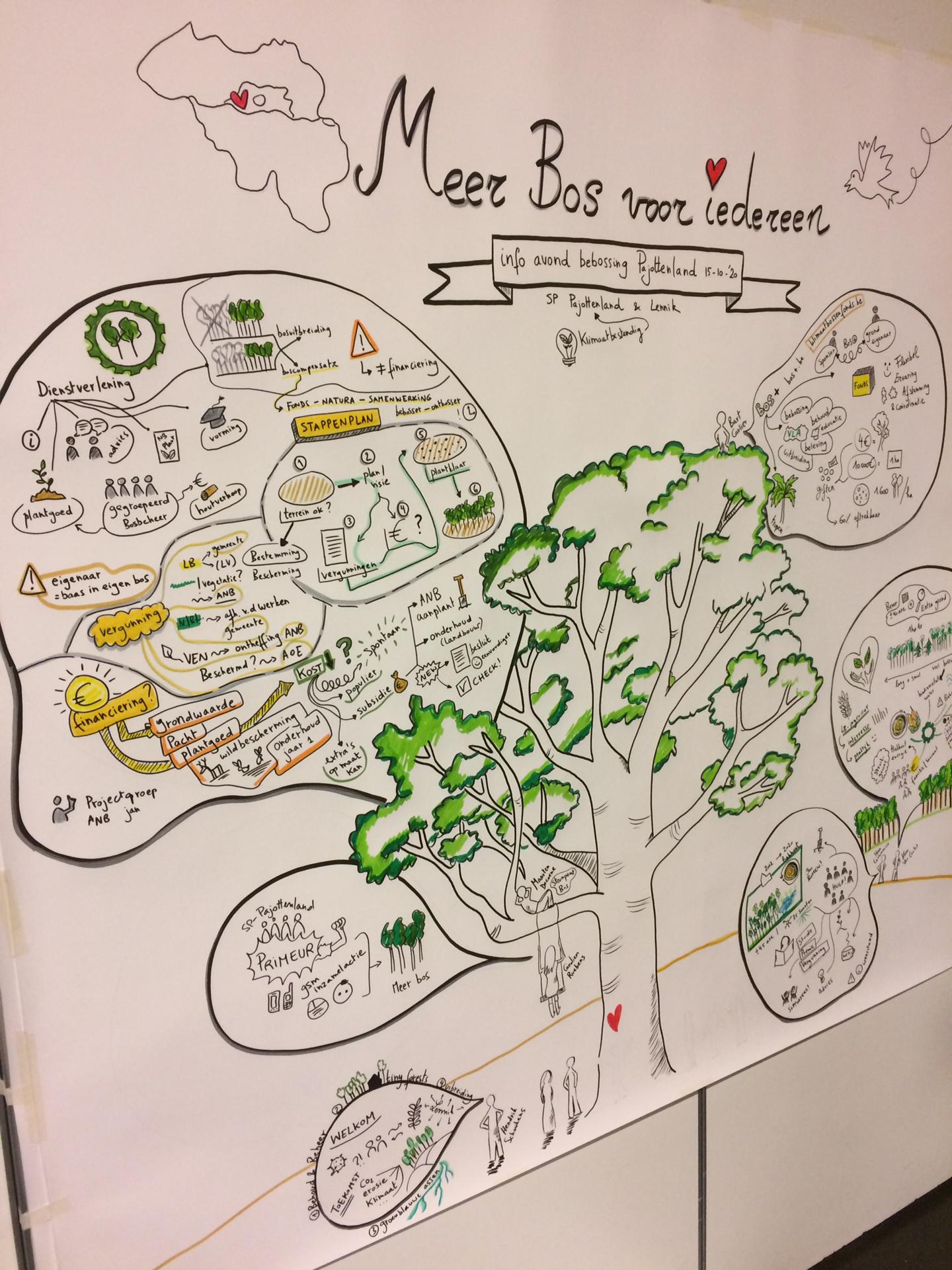 2020-10-15-meerbos_02 – Sint-Pieters-Leeuw nieuwssite