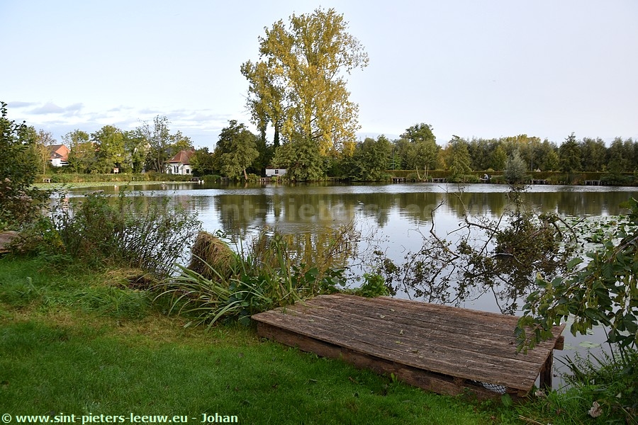 2023-09-29-visvijver _ Groene Beemd (1) – Sint-Pieters-Leeuw nieuwssite