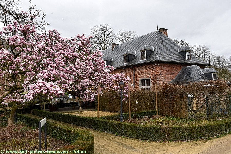 2024-03-15-De-Koetsier-terraszijde – Sint-Pieters-Leeuw nieuwssite