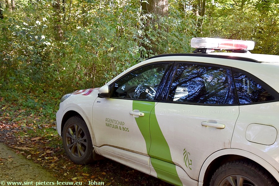Code geel voor bos en natuurgebieden in Vlaams-Brabant – Sint-Pieters ...